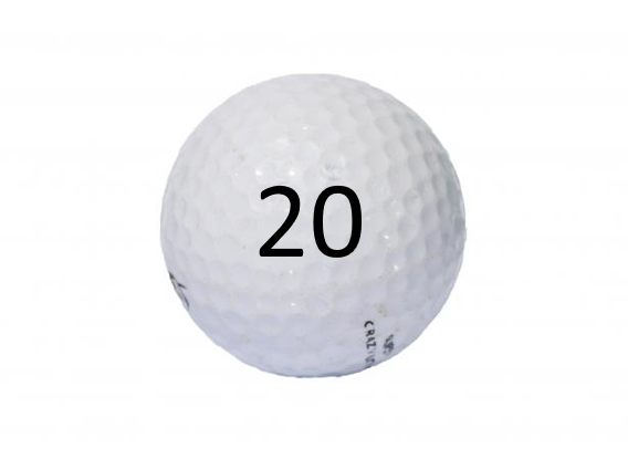 Store Item: Golf Ball #20 - PRCEF 21 Annual Golf Outing